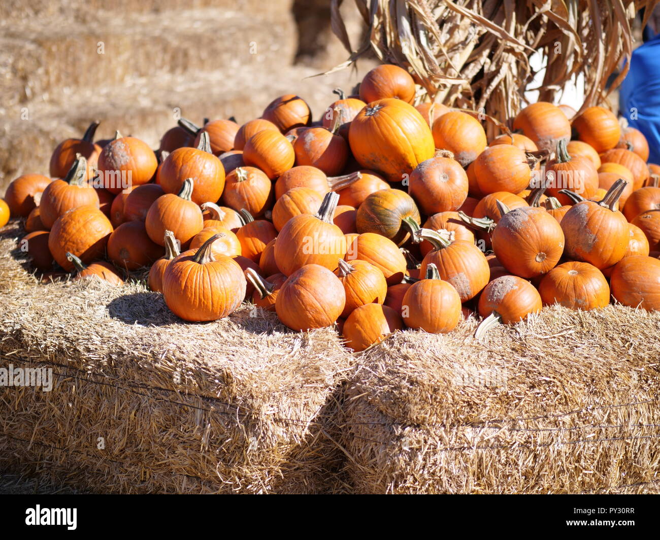 Bunch of hay hi-res stock photography and images - Alamy