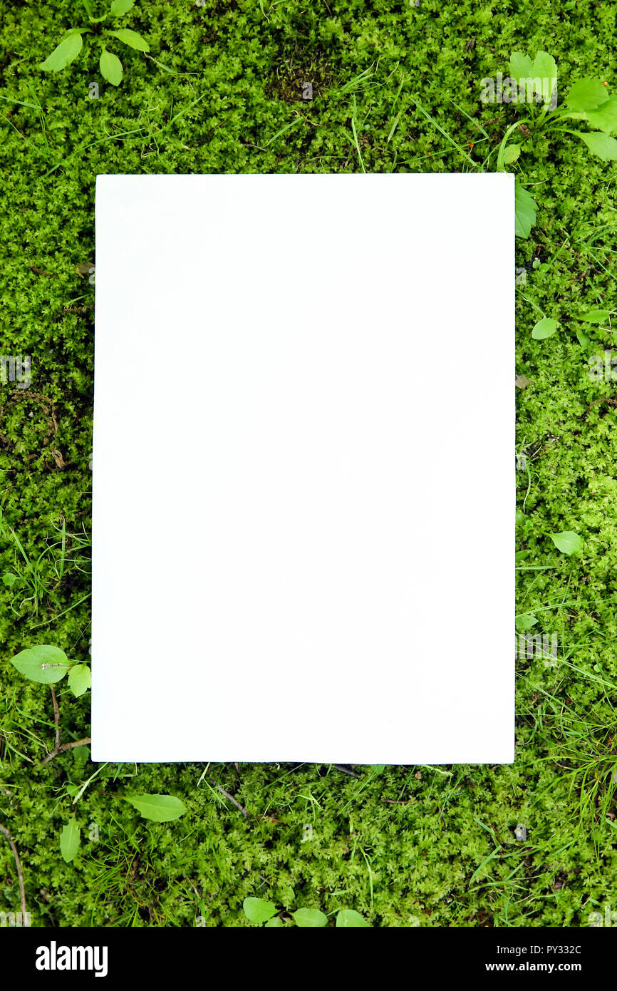 Greenery Concept photo, relaxing in nature. eco life and healing. 082 ...