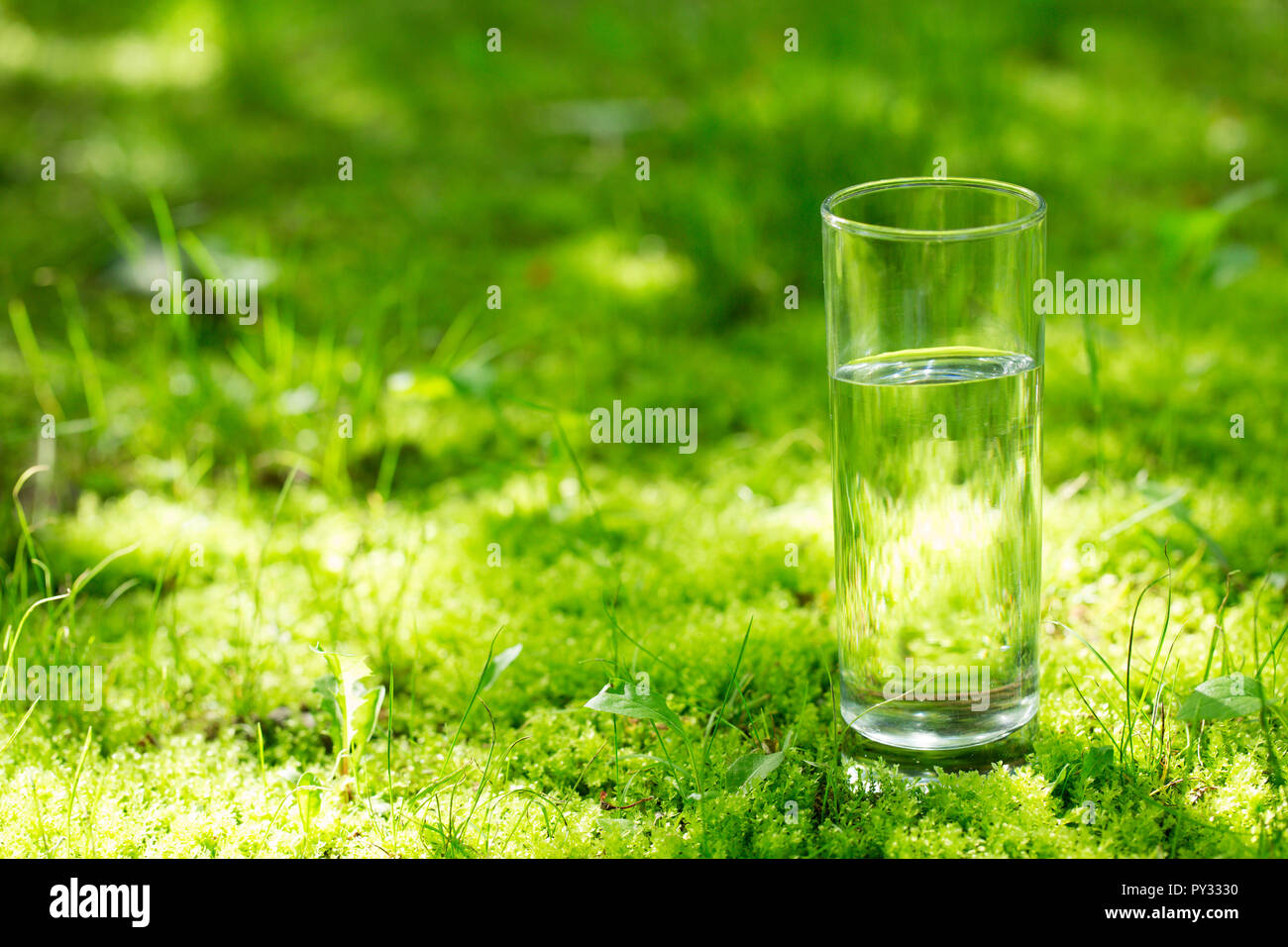 Greenery Concept photo, relaxing in nature. eco life and healing. 093 ...
