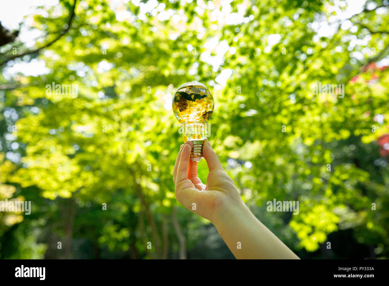 Greenery Concept photo, relaxing in nature. eco life and healing. 100 ...