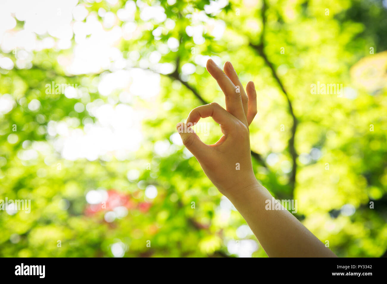 Greenery Concept photo, relaxing in nature. eco life and healing. 117 ...