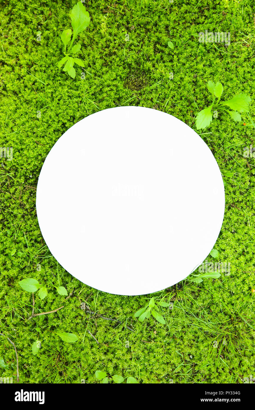 Greenery Concept photo, relaxing in nature. eco life and healing. 127 ...