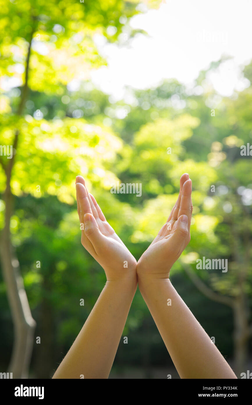 Greenery Concept photo, relaxing in nature. eco life and healing. 129 ...