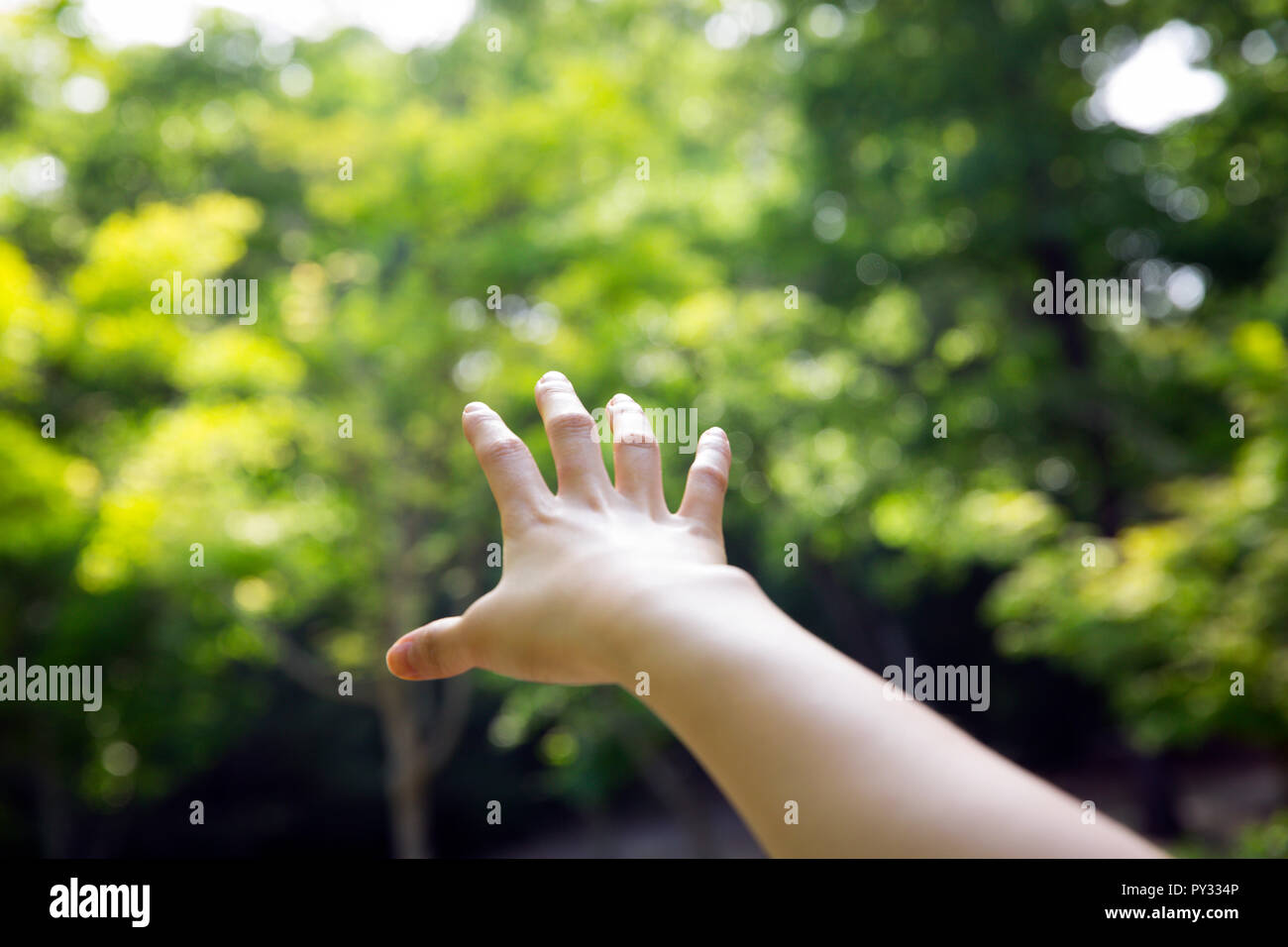 Greenery Concept photo, relaxing in nature. eco life and healing. 130 ...