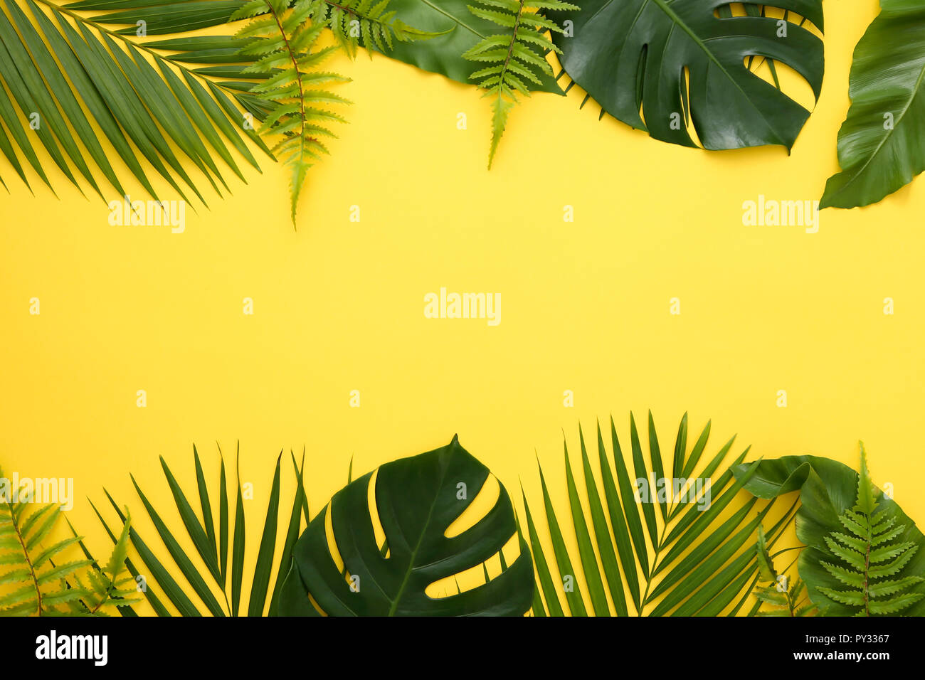 Greenery Concept photo, leave pattern summer background and frame ...