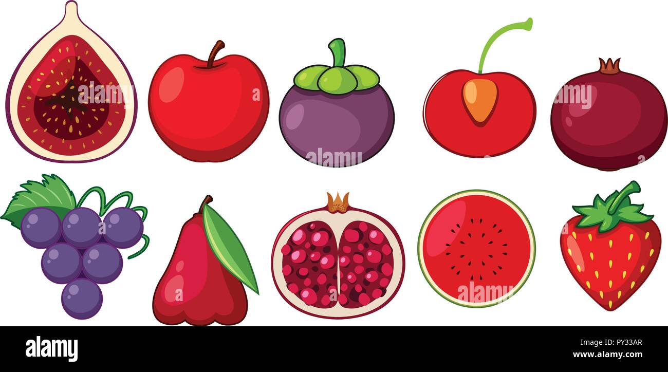 A set of fresh fruits illustration Stock Vector Image & Art - Alamy