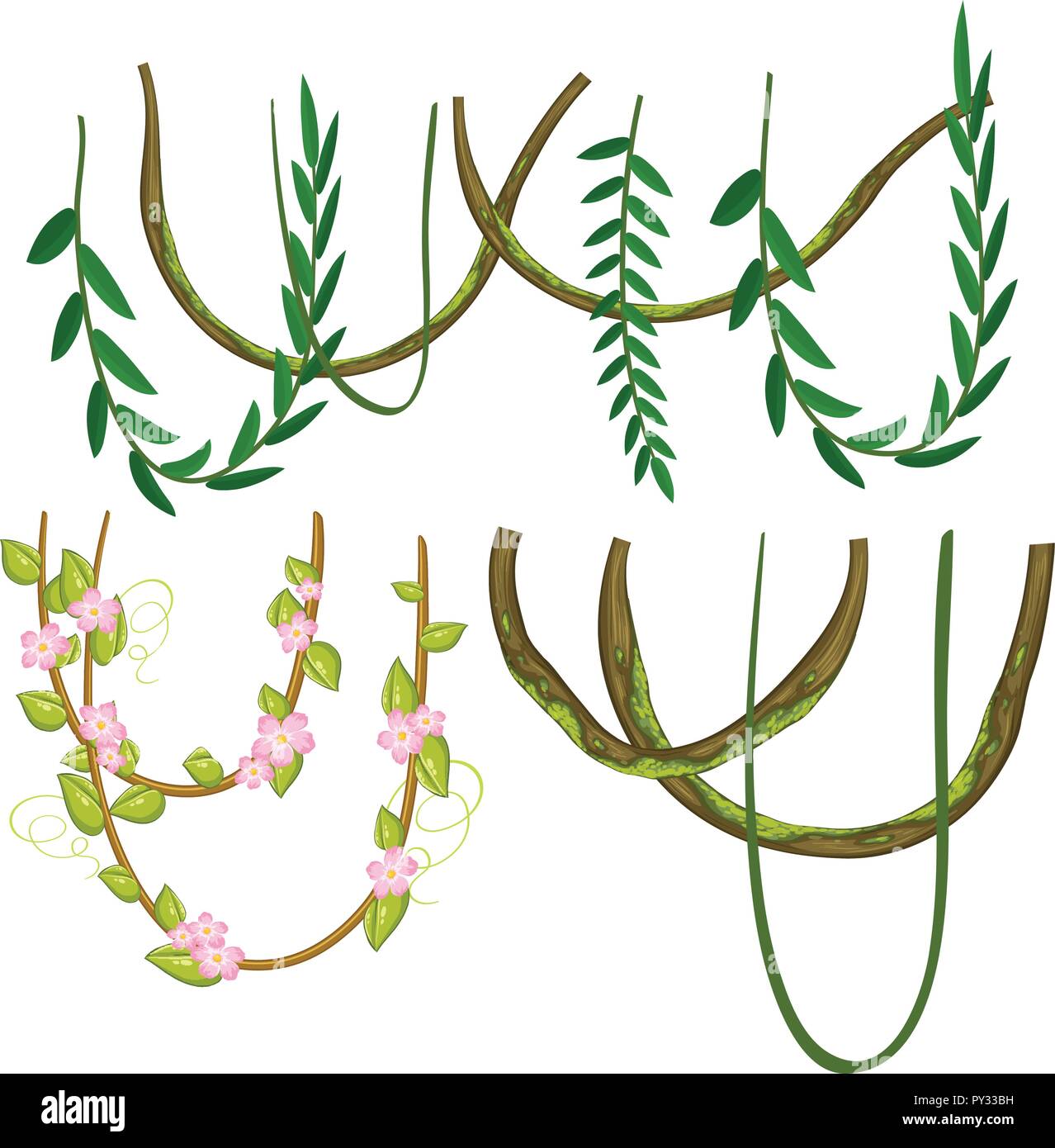 A set of vine on white background illustration Stock Vector Image & Art ...