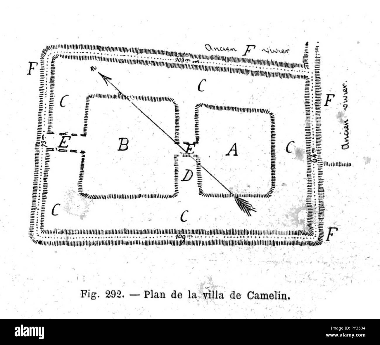 Camelin hi-res stock photography and images - Alamy