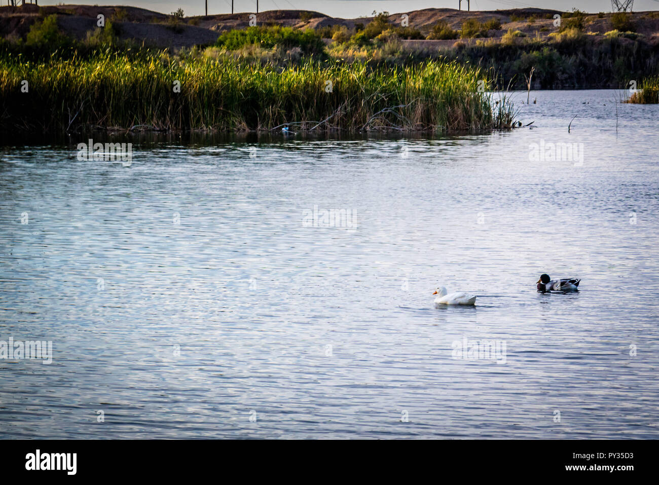 Yuma Lakes High Resolution Stock Photography and Images - Alamy