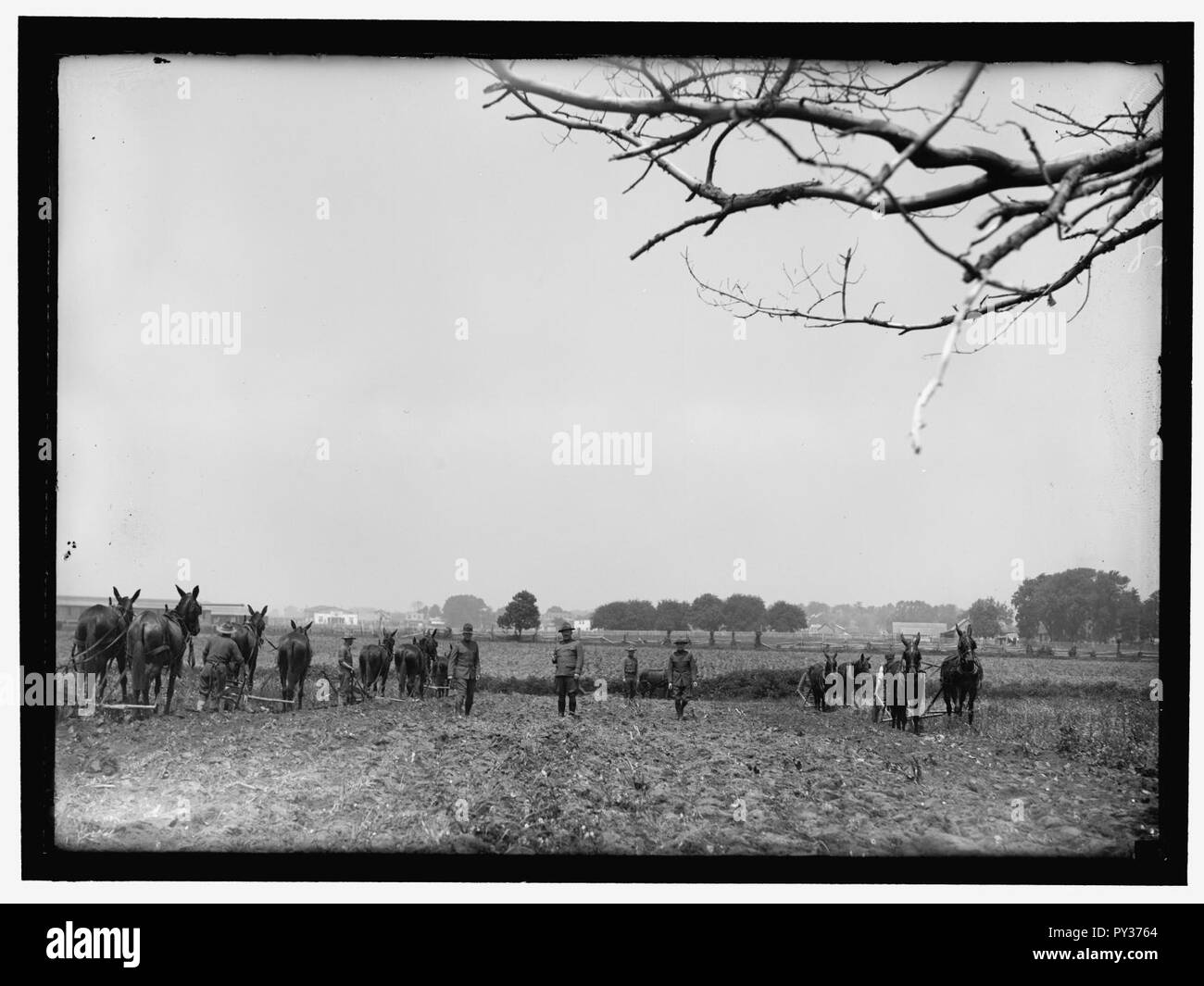 CAMP DIX -2. MISC. VIEWS Stock Photo - Alamy