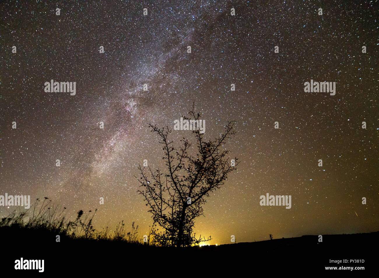 Beautiful panorama, rural landscape at night. Dark contrast silhouette ...