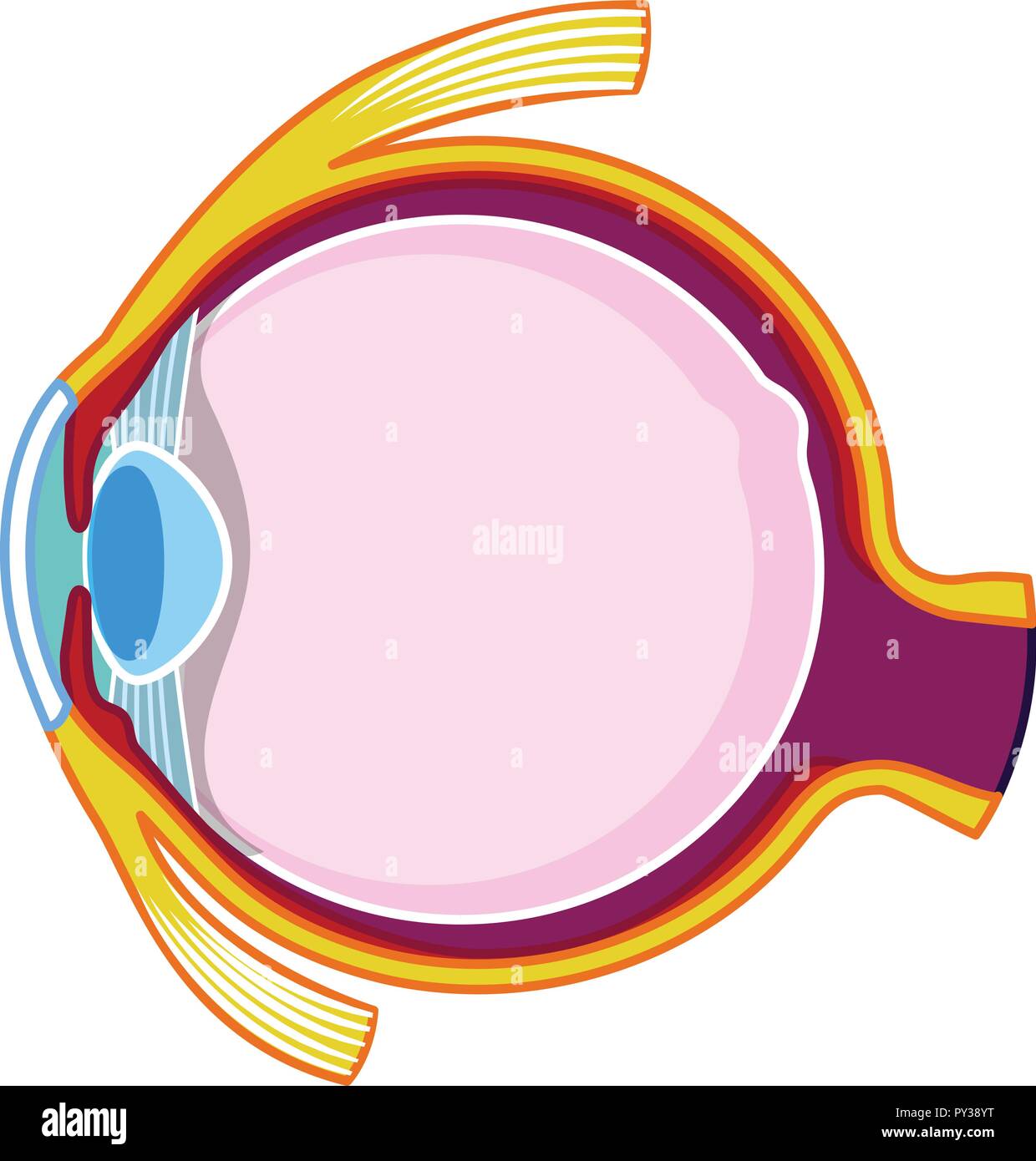 Inside the lens Stock Vector Images - Alamy