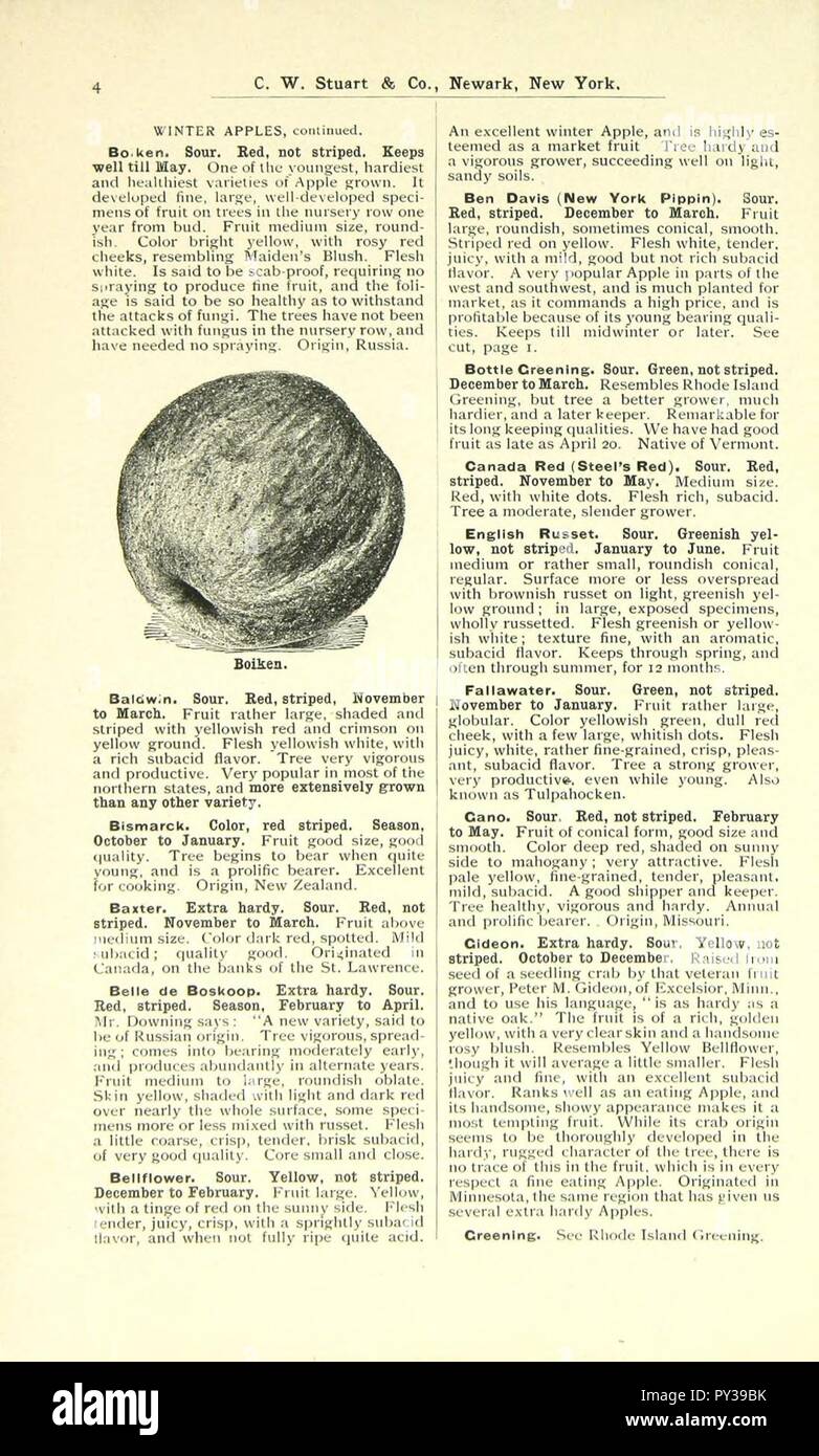 Stuart abraham hi-res stock photography and images - Alamy