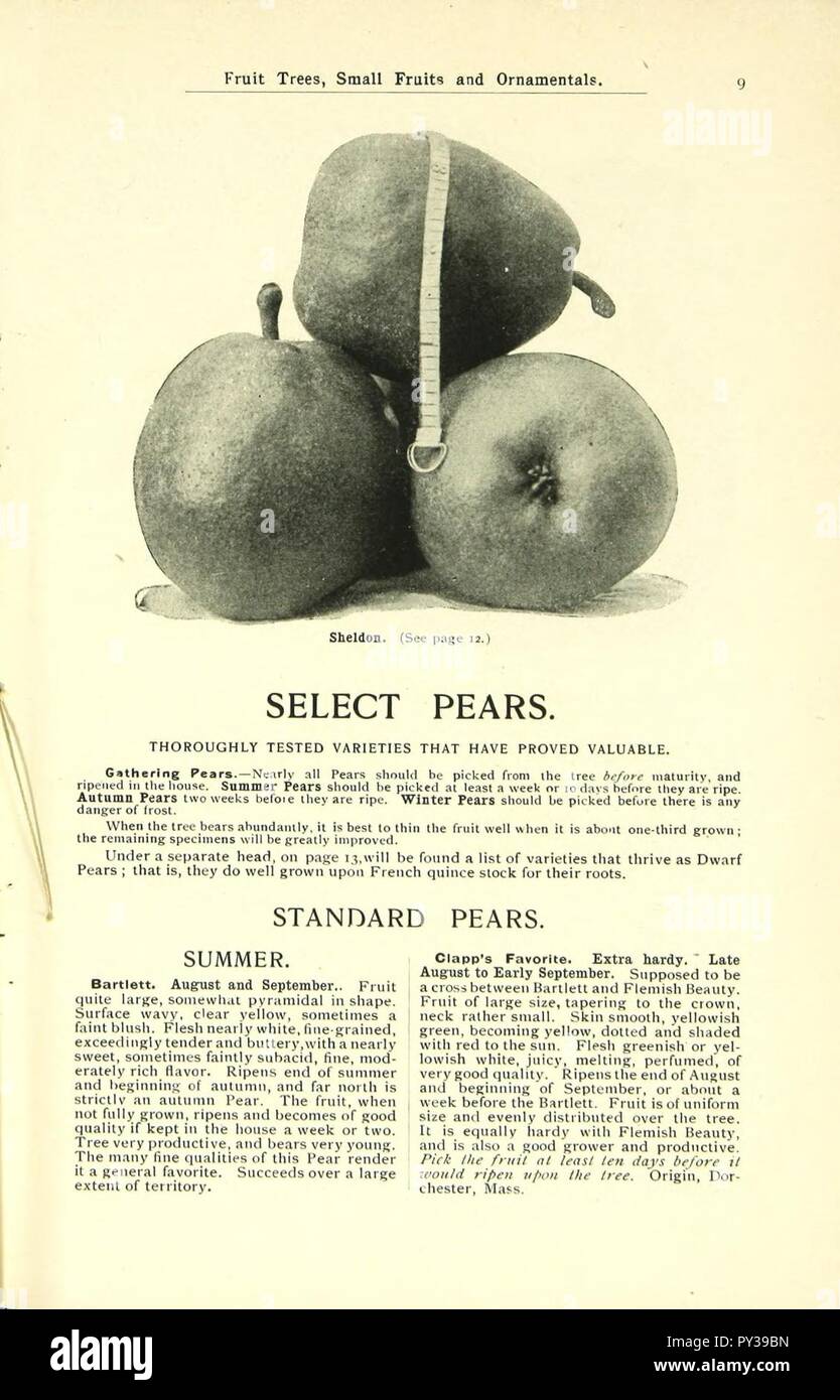 Stuart abraham hi-res stock photography and images - Alamy