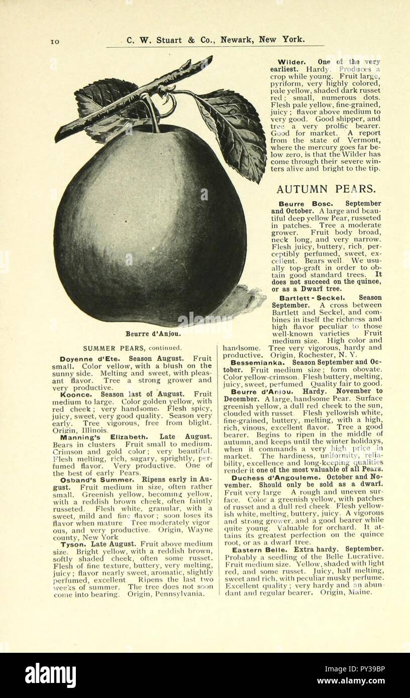 Stuart abraham hi-res stock photography and images - Alamy