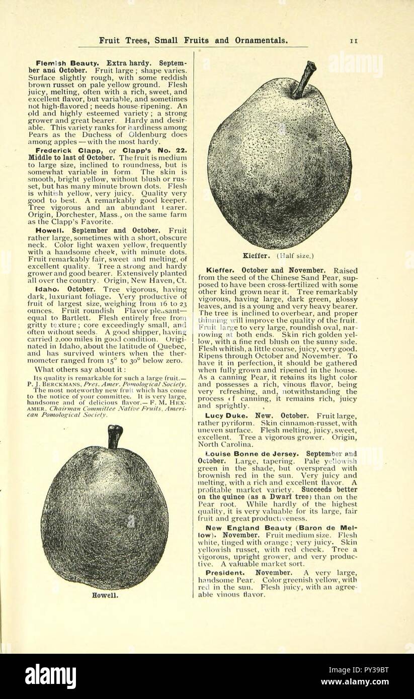 2 11 materials hi-res stock photography and images - Alamy