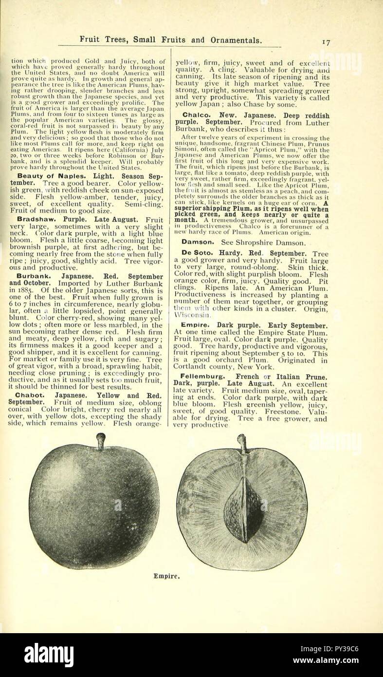 Stuart abraham hi-res stock photography and images - Alamy