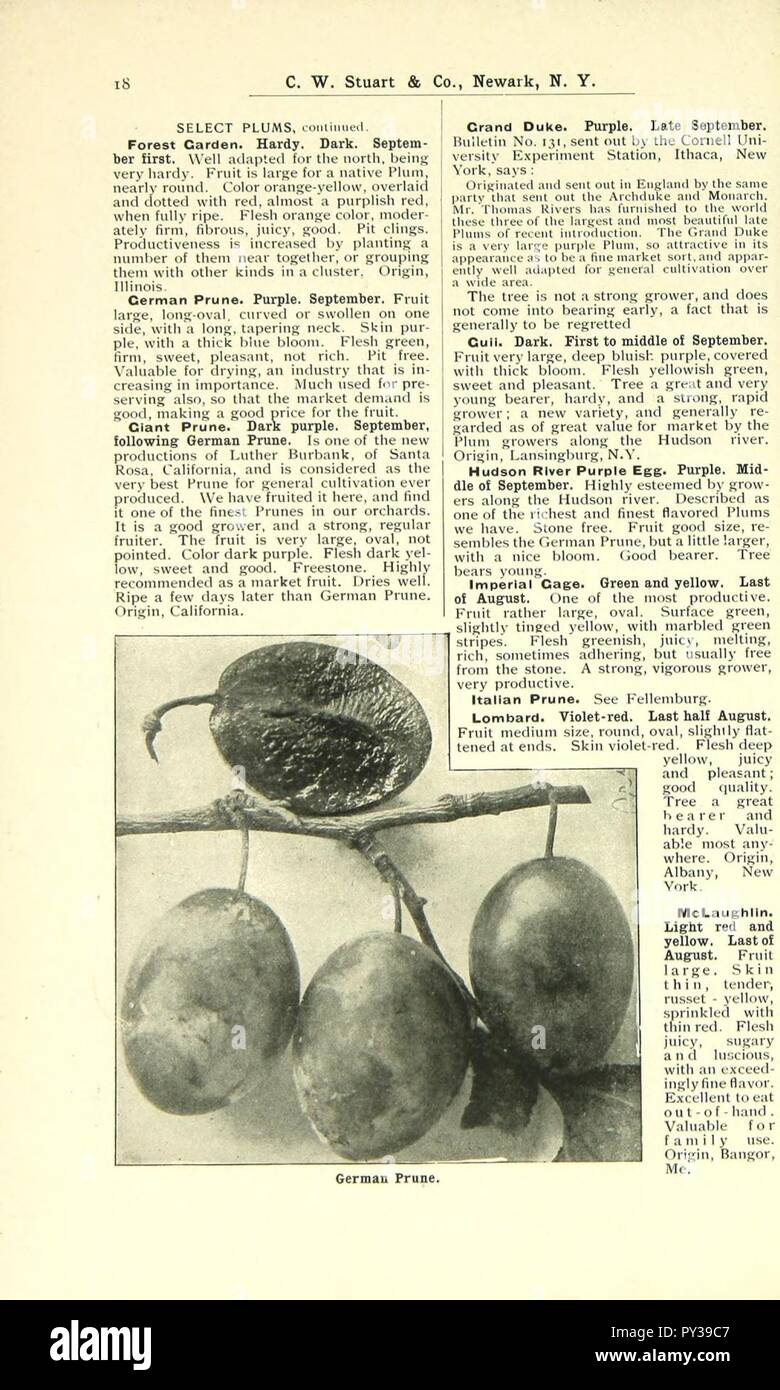 Stuart abraham hi-res stock photography and images - Alamy