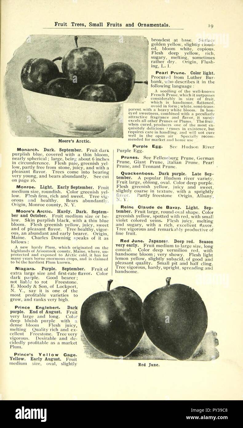 Stuart abraham hi-res stock photography and images - Alamy