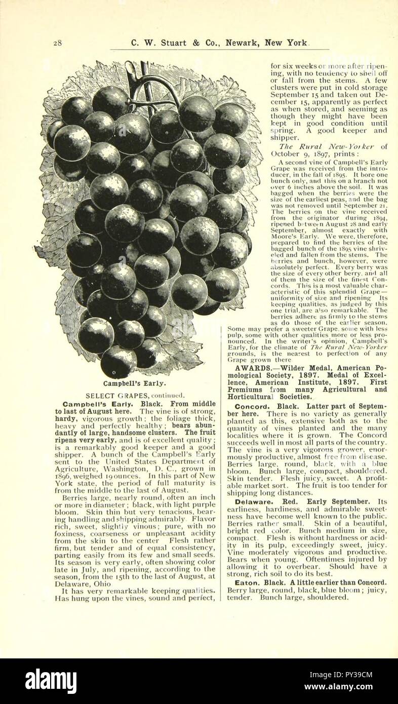 W 2 28 28 hi-res stock photography and images - Alamy