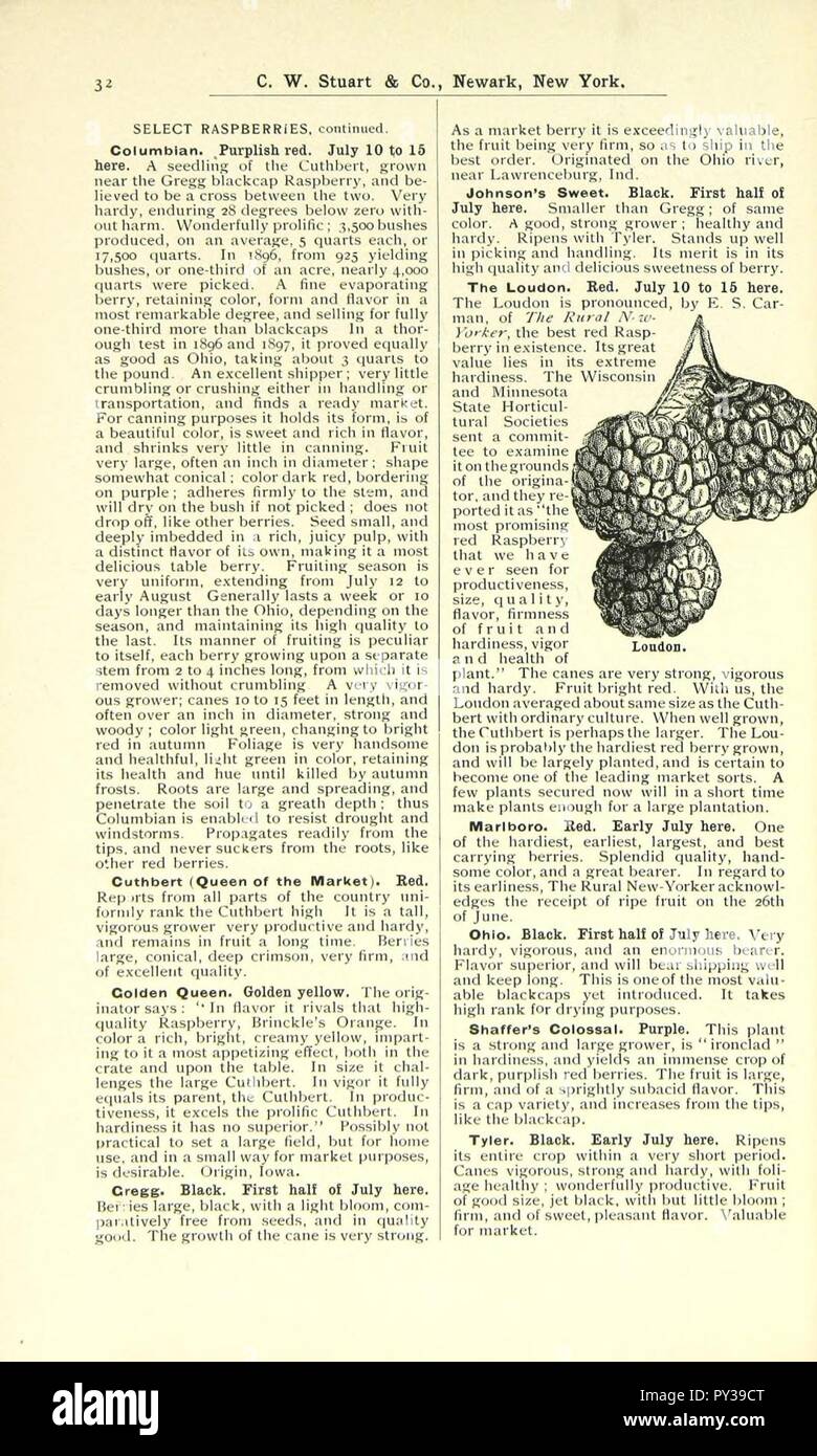 C 32 aircraft hi-res stock photography and images - Alamy