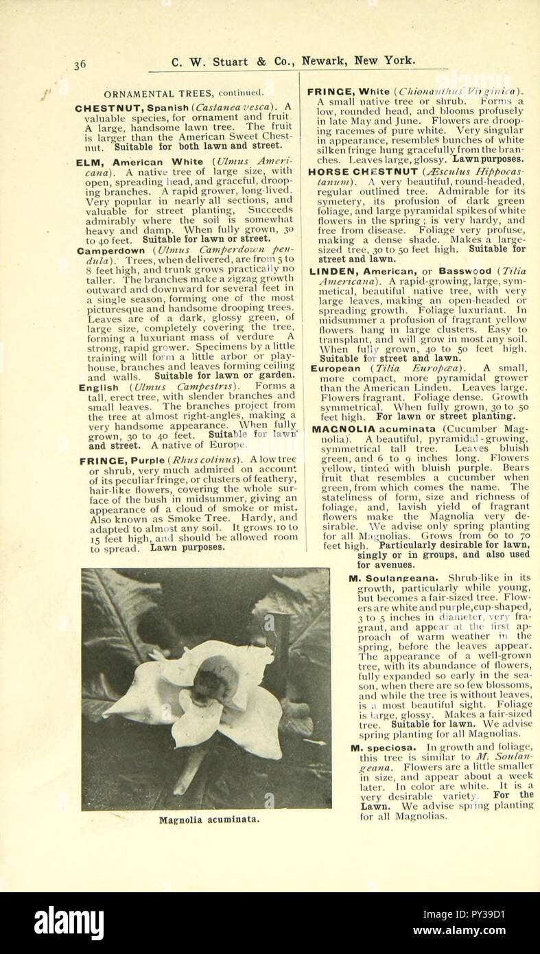 W 2 2 36 hi-res stock photography and images - Alamy