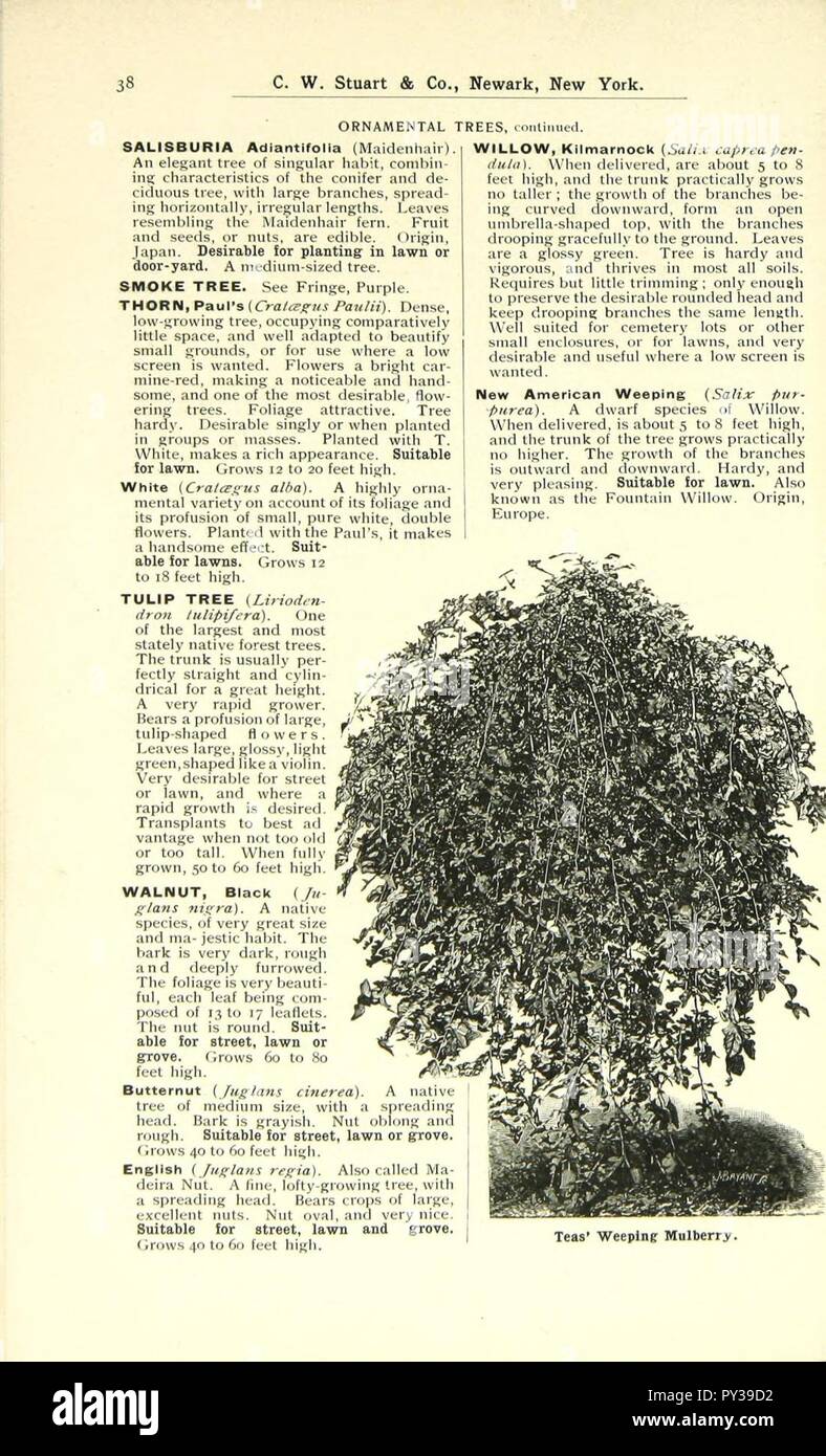 Stuart abraham hi-res stock photography and images - Alamy