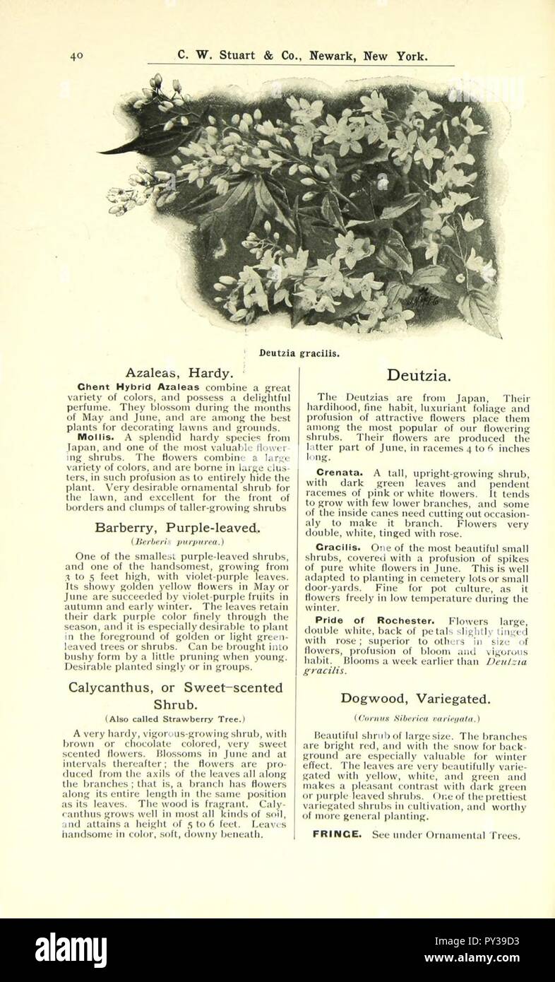 W 2 40 40 hi-res stock photography and images - Alamy