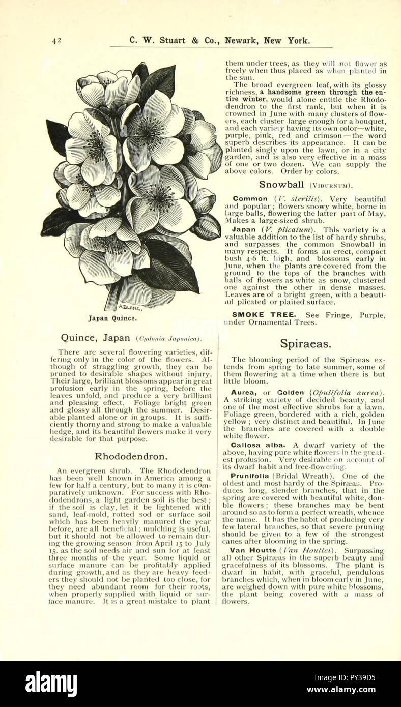 Cvn 42 hi-res stock photography and images - Alamy