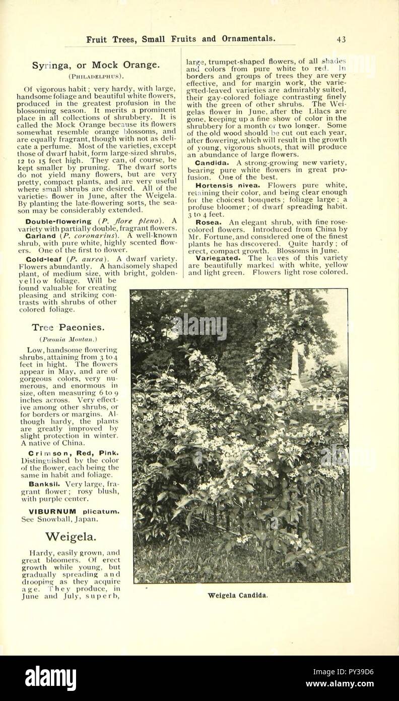 W 2 43 43 hi-res stock photography and images - Alamy