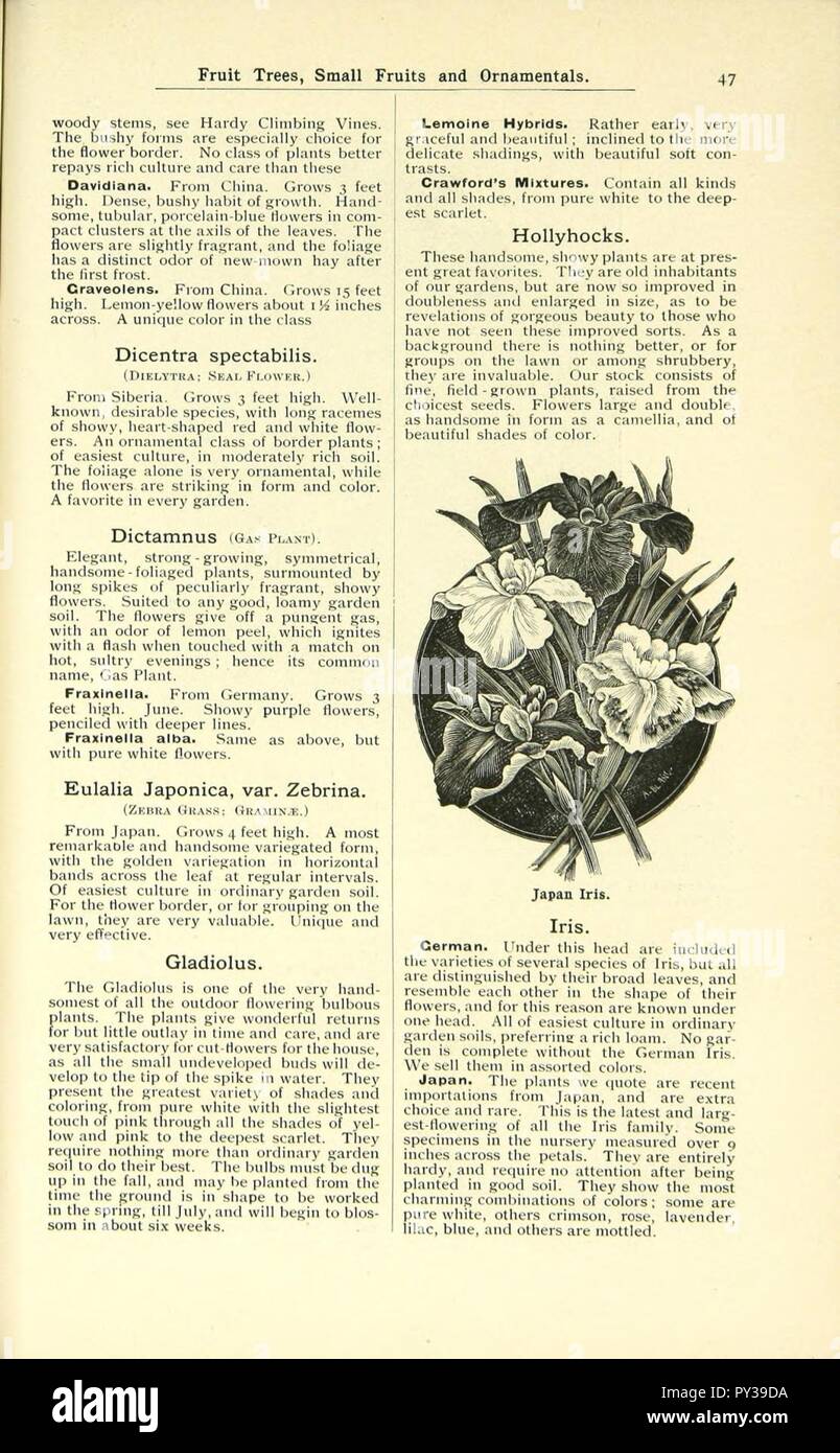 C.W. Stuart and Co. materials (Page 47 Stock Photo - Alamy