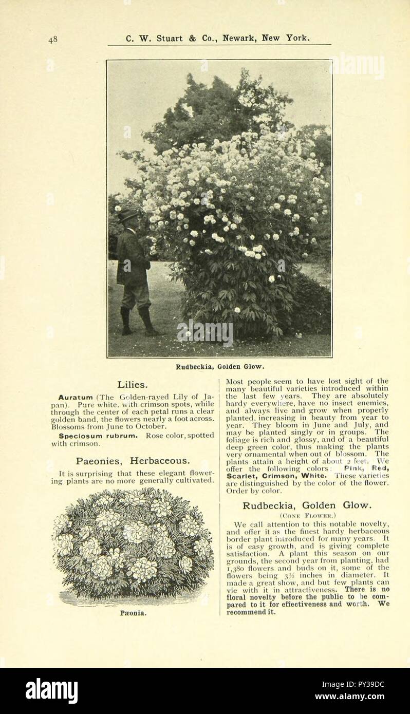 Cvn 48 hi-res stock photography and images - Alamy