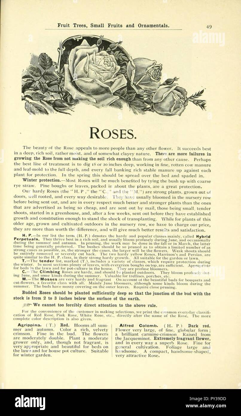 Cvn 49 hi-res stock photography and images - Alamy