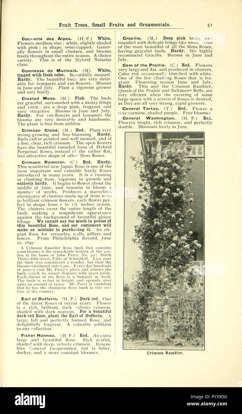 C.W. Stuart and Co. materials (Page 51 Stock Photo - Alamy