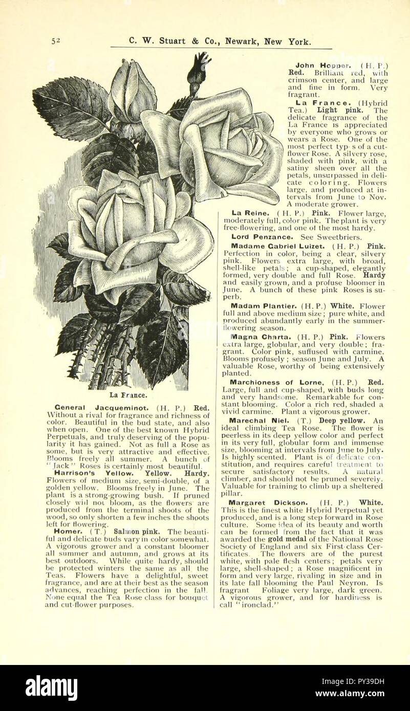 Stuart abraham hi-res stock photography and images - Alamy