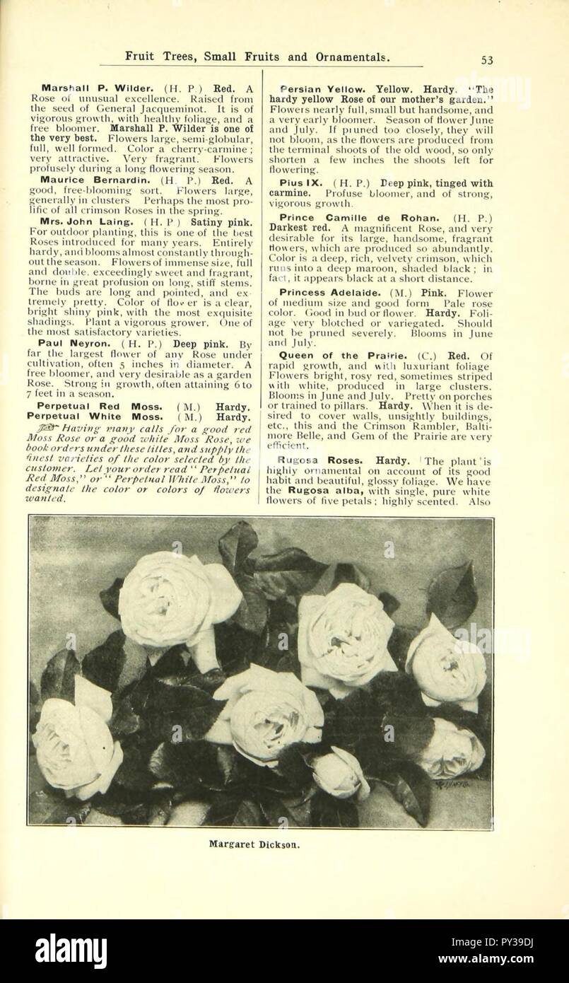 W 72 53 53 hi-res stock photography and images - Alamy