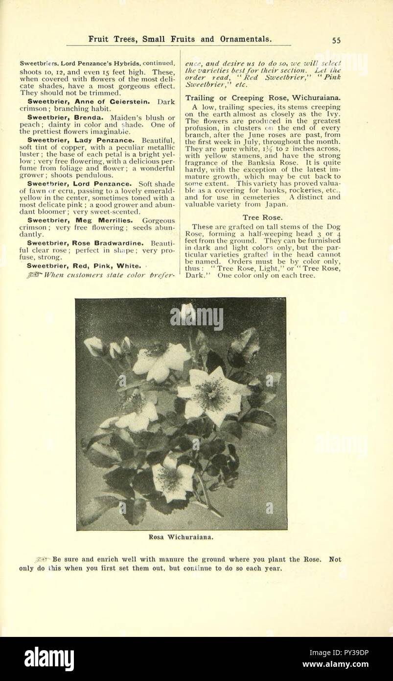 Cvn 55 hi-res stock photography and images - Alamy