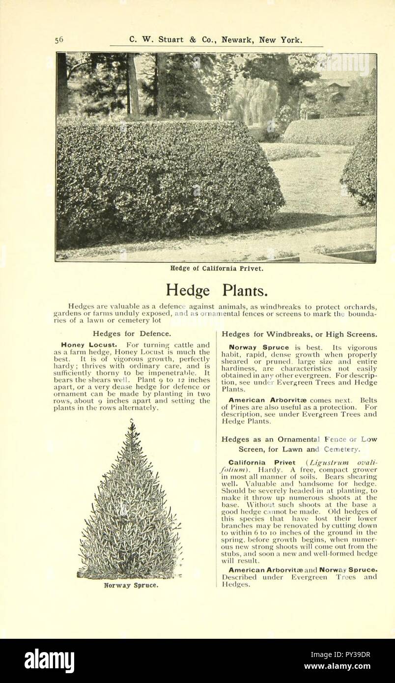 W 2 56 56 hi-res stock photography and images - Alamy