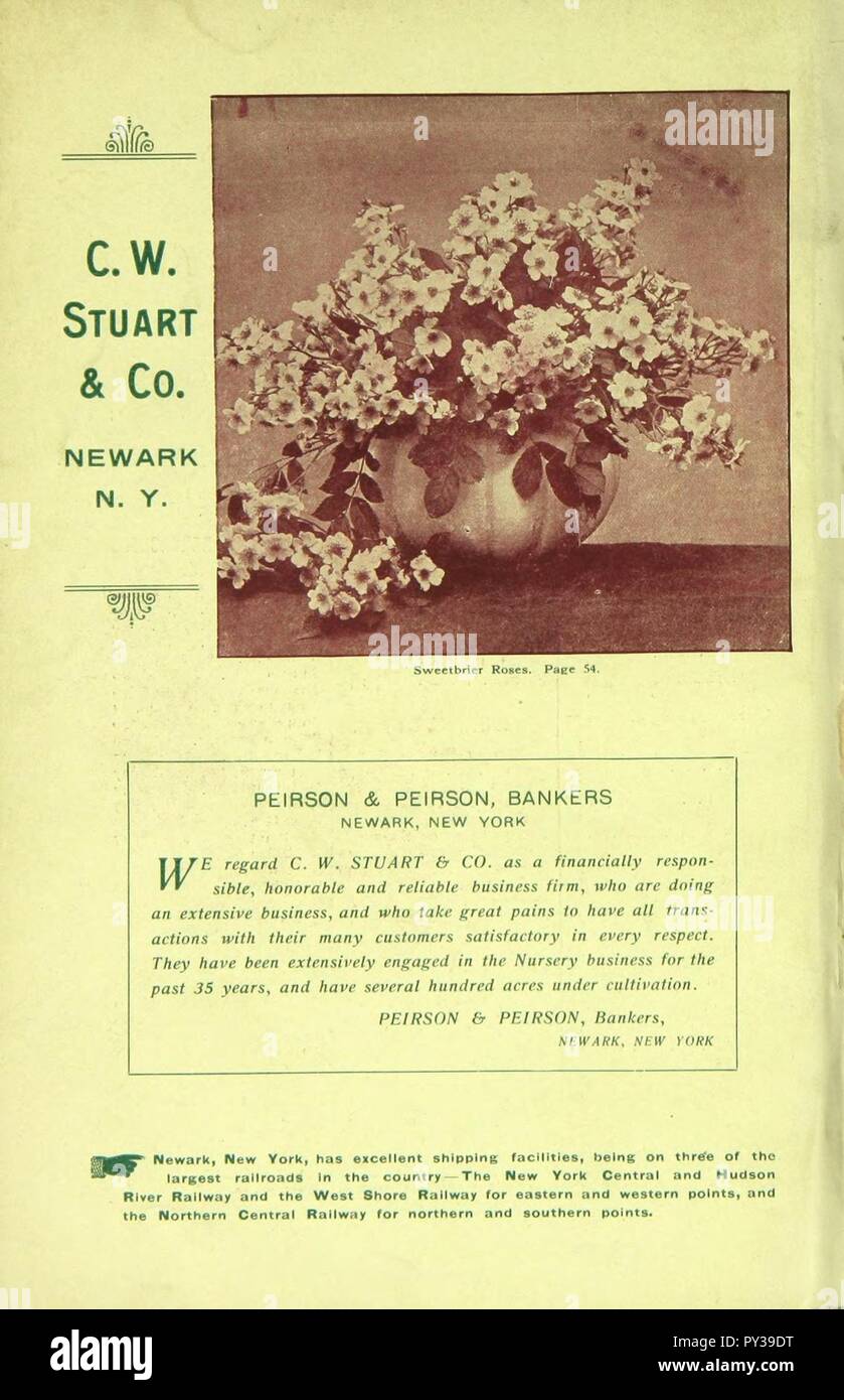 Stuart abraham hi-res stock photography and images - Alamy