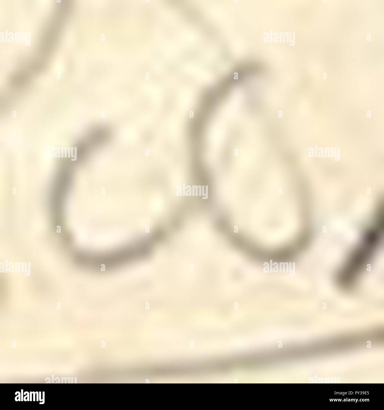 Army signature history historical archive archival hi-res stock ...