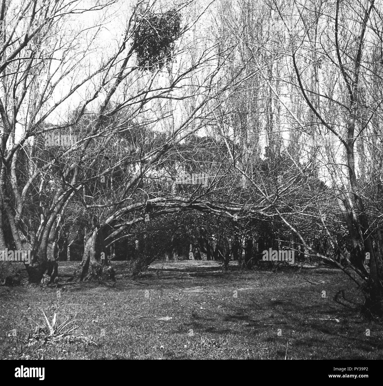 Monte lincoln hi-res stock photography and images - Alamy