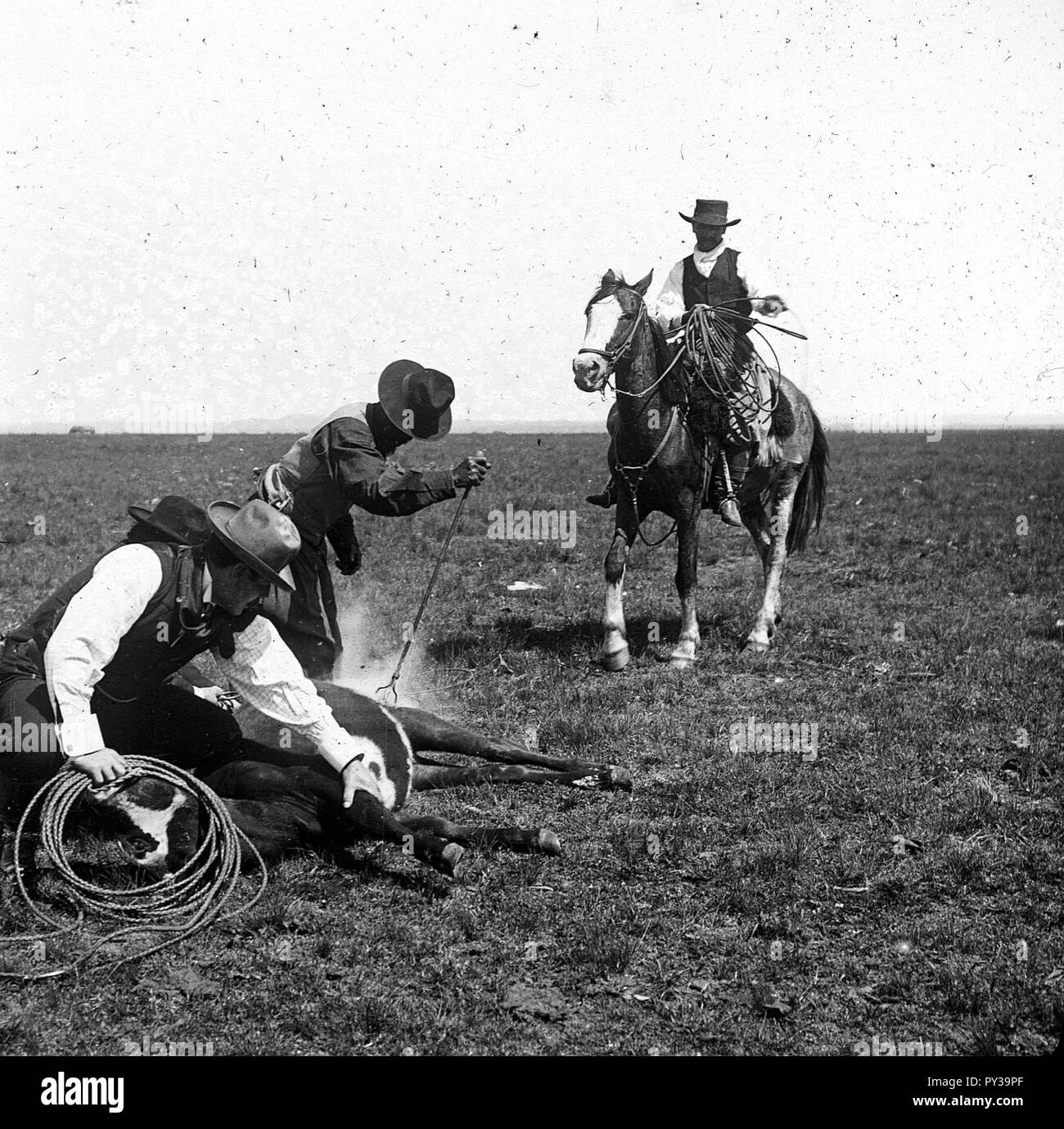 Marcando hi-res stock photography and images - Alamy