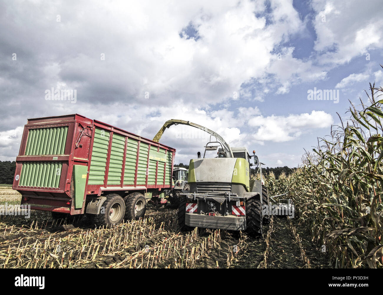 Maisernte hi-res stock photography and images - Alamy