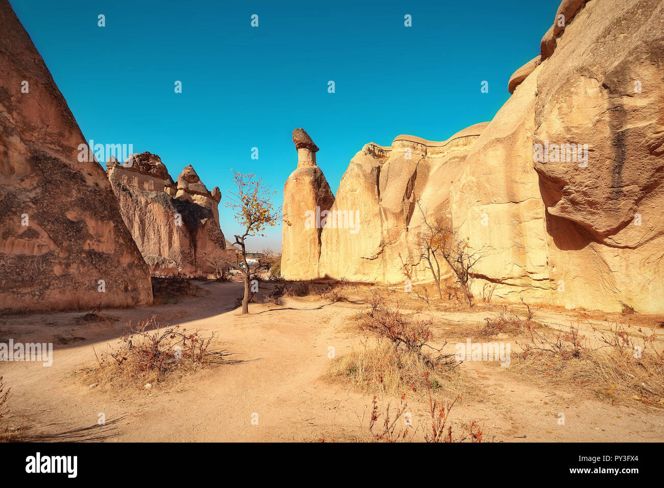Cappadocia, Turkey. Fairy Chimney. Multihead stone mushrooms in the ...