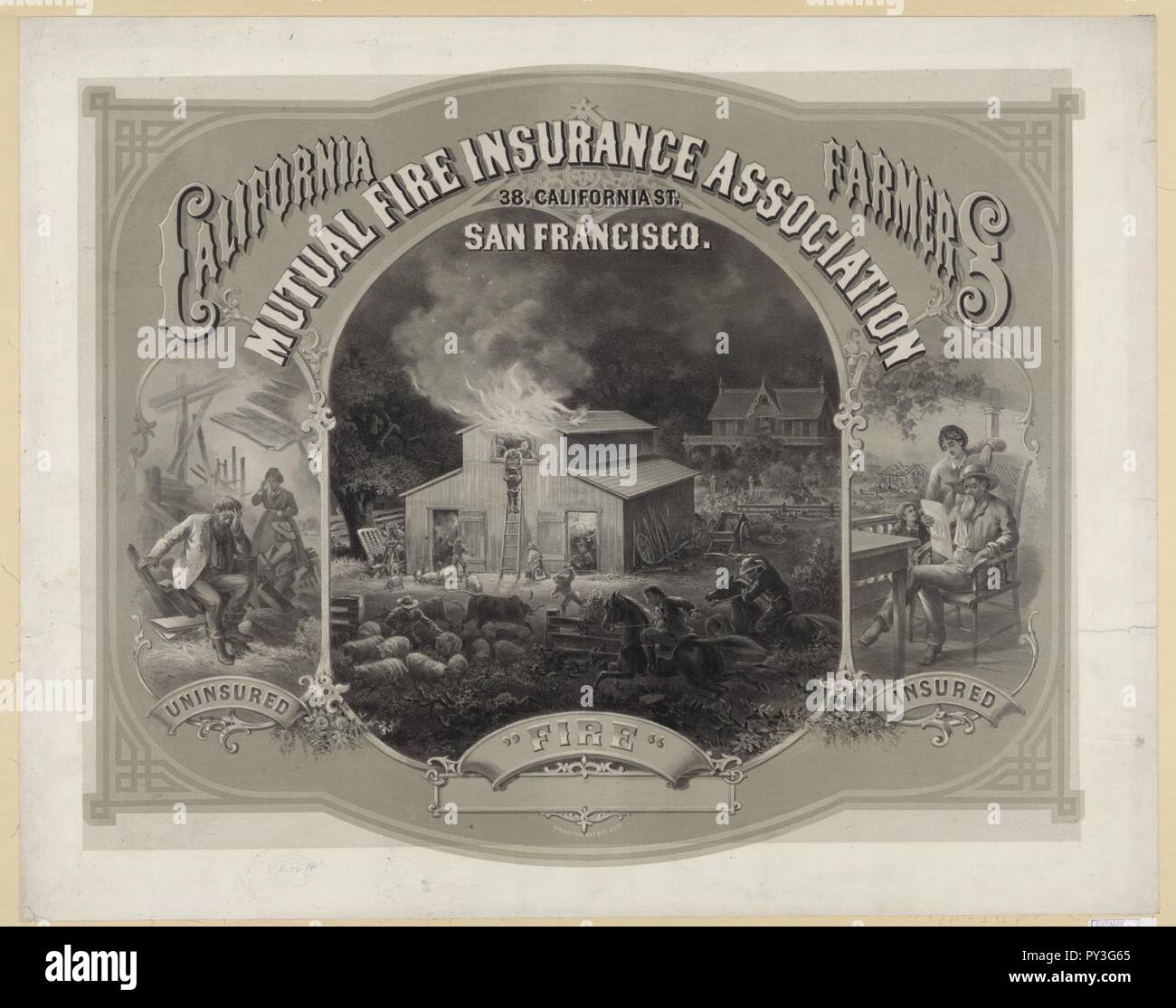 Mutual association hi-res stock photography and images - Alamy