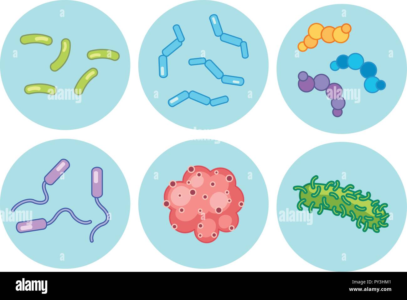 Magnified bacteria hi-res stock photography and images - Alamy