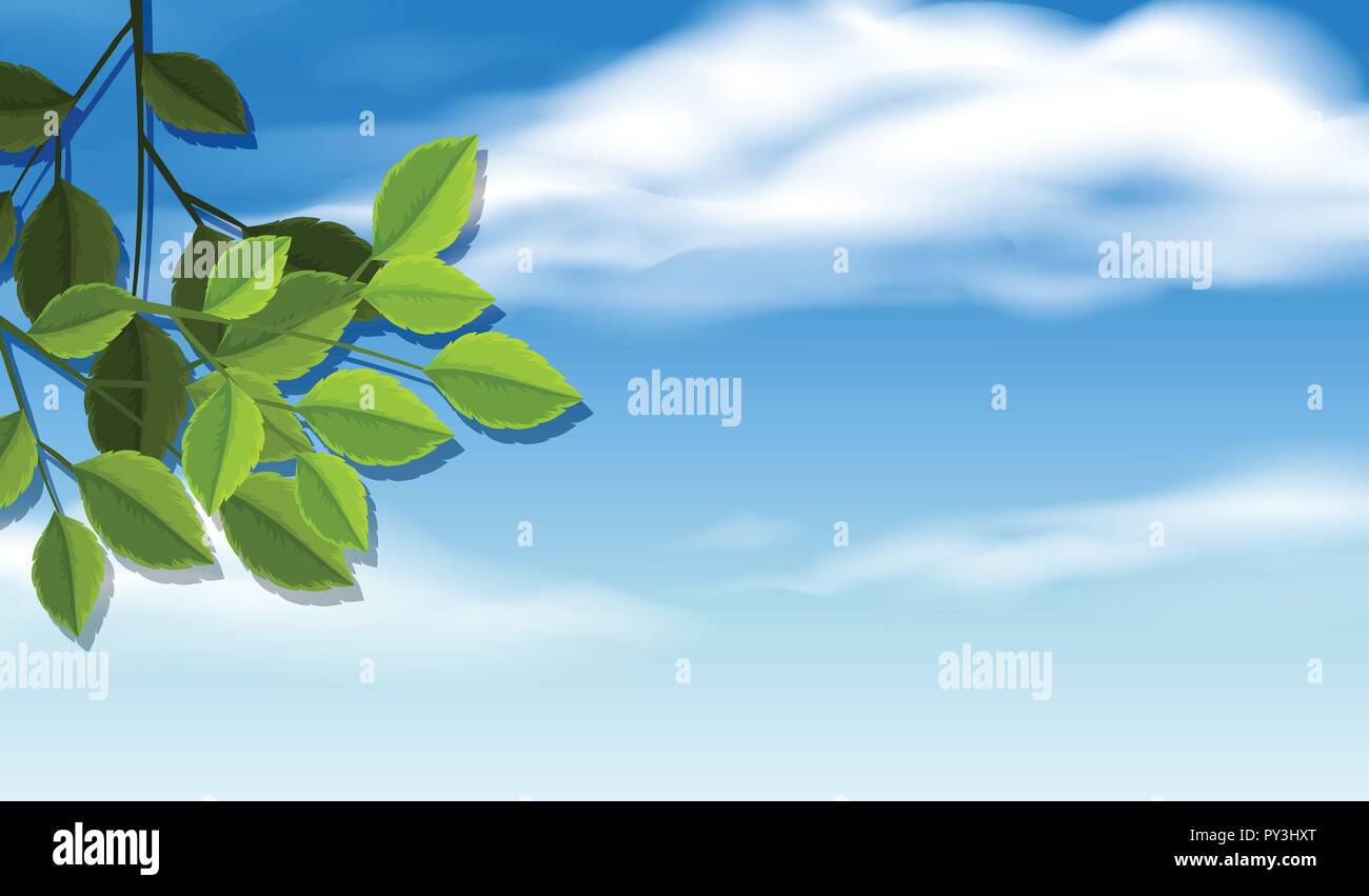 Tree Plant and Sky illustration Stock Vector Image & Art - Alamy