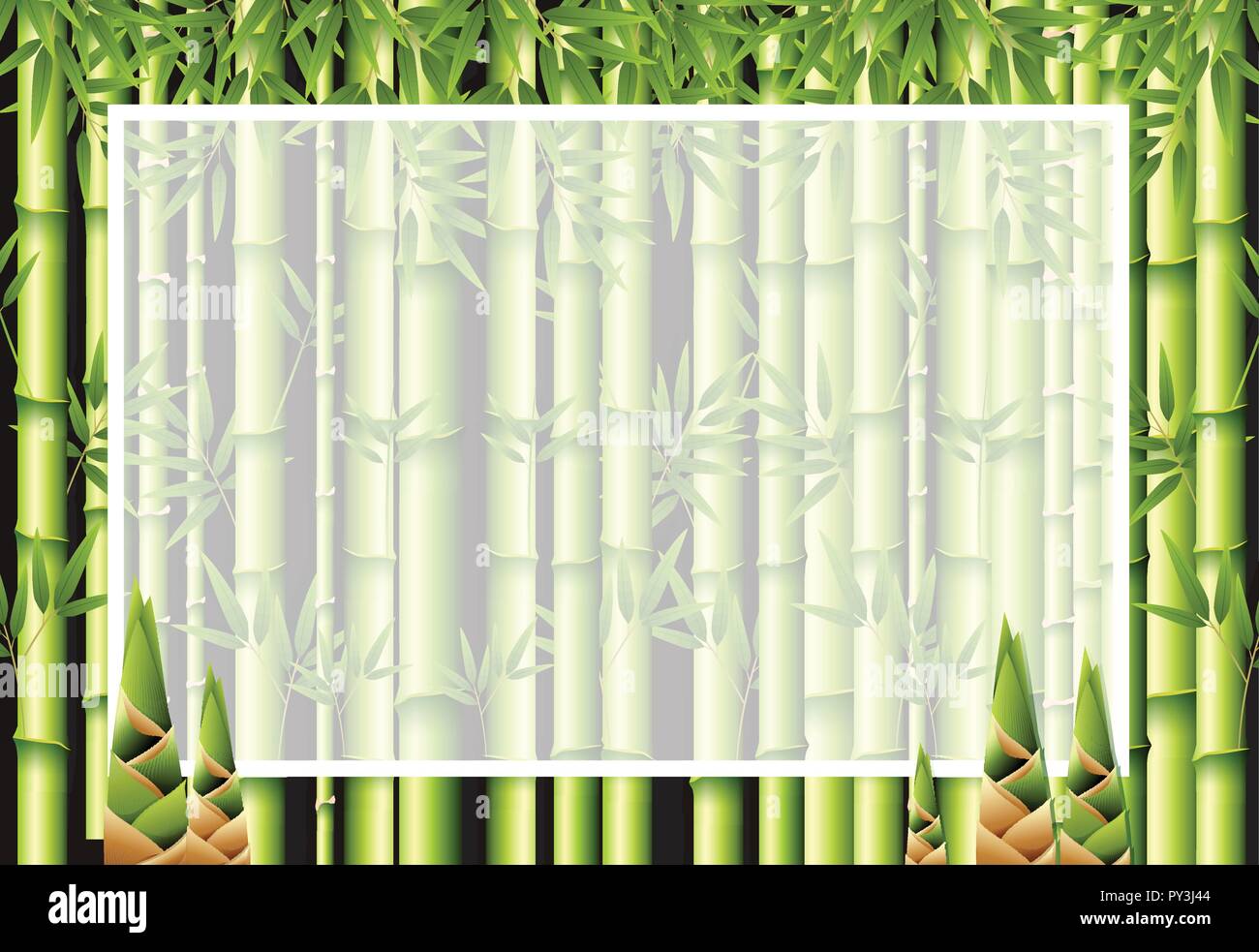 Beautiful nature bamboo template illustration Stock Vector Image & Art ...