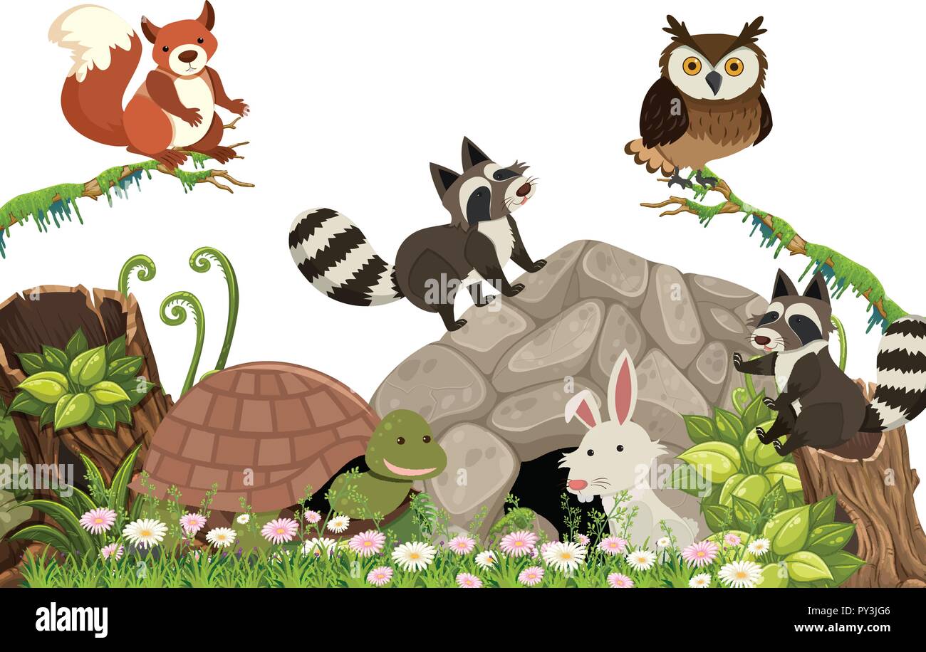 Happy Animals in the Forest illustration Stock Vector Image & Art - Alamy