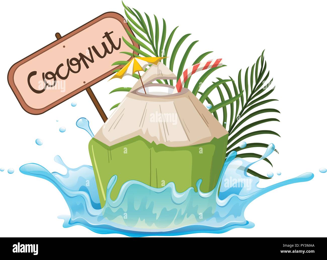 A Coconut Sign on White Background illustration Stock Vector Image ...